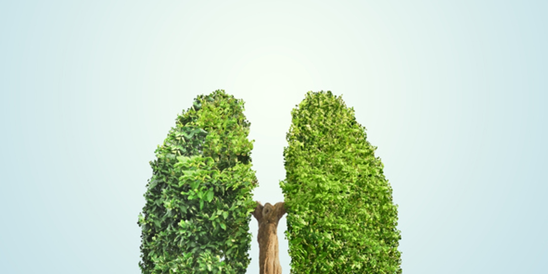 Clean Air